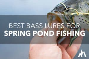 5 Best Bass Lures For Spring Pond Fishing - Rep The Wild