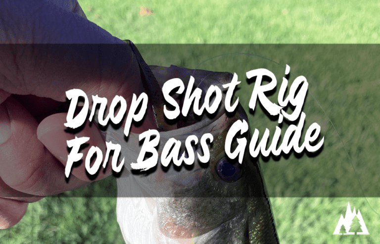 What Is A Tokyo Rig For Bass Fishing? - Rep The Wild