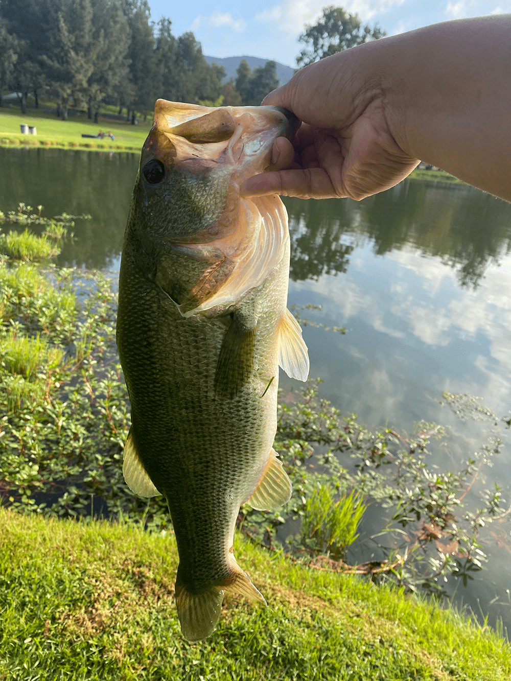 High Pressure Bass Fishing: 3 Killer Finesse Worms Rigs - Rep The Wild